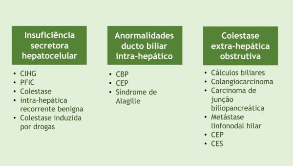 Colestase: Entenda a Doença Biliar | Farmacia dos Jeronimos